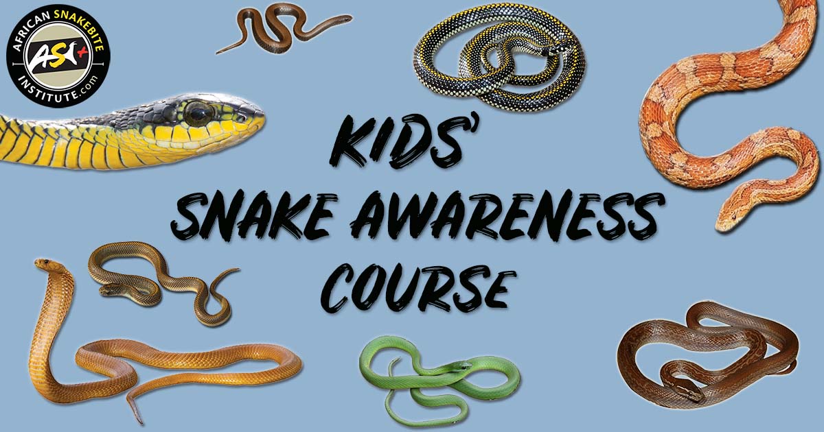 Kids' Snake Awareness Course (Western Cape) - 2024-10-20