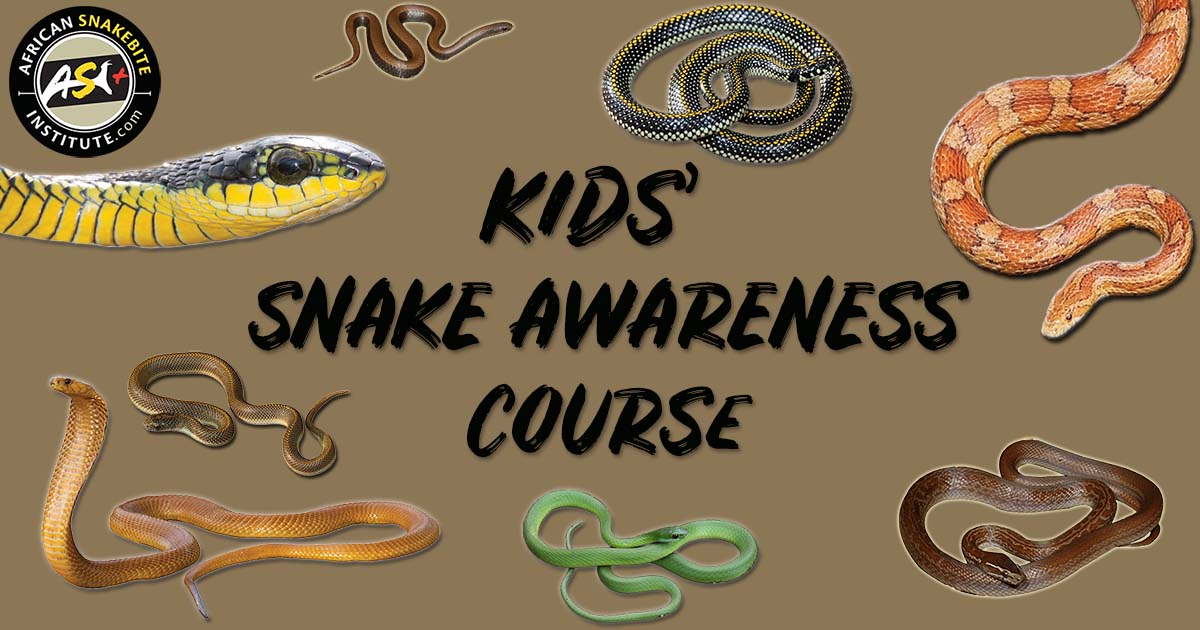 Kids' Snake Awareness Course (Western Cape) - 2024-11-17