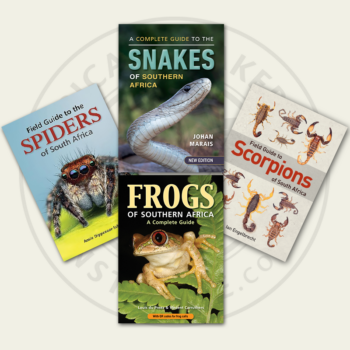 The cobras of southern Africa - African Snakebite Institute