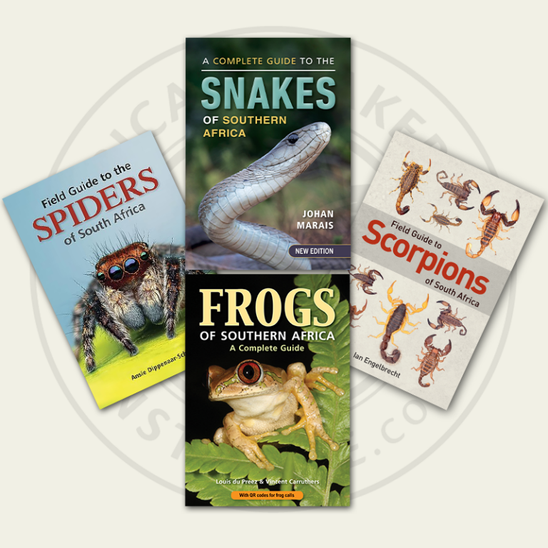 The Green Mamba - African Snakebite Institute