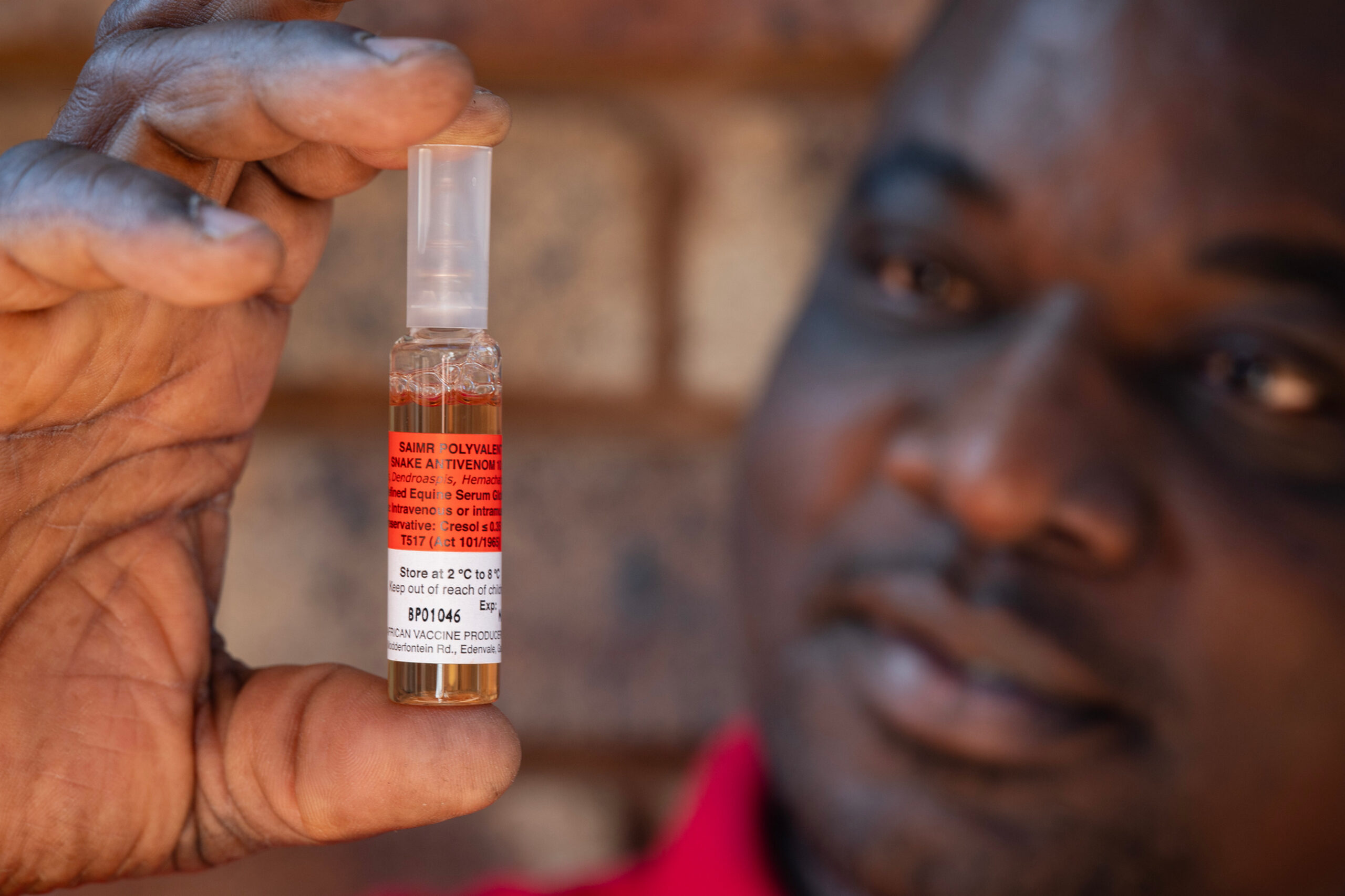 Understanding Snake Venom and Antivenom - African Snakebite Institute