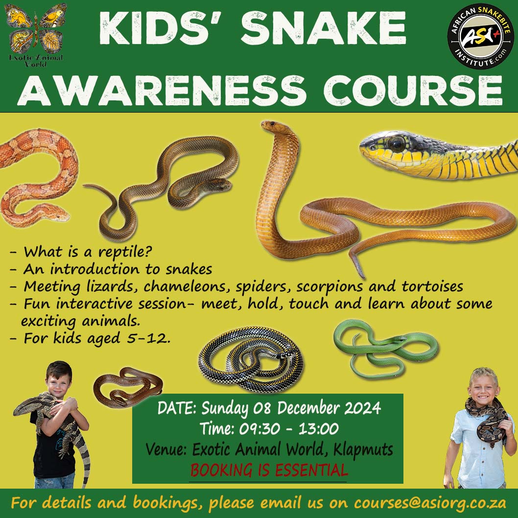 Kids' Snake Awareness Course (Western Cape) - 2024-12-08