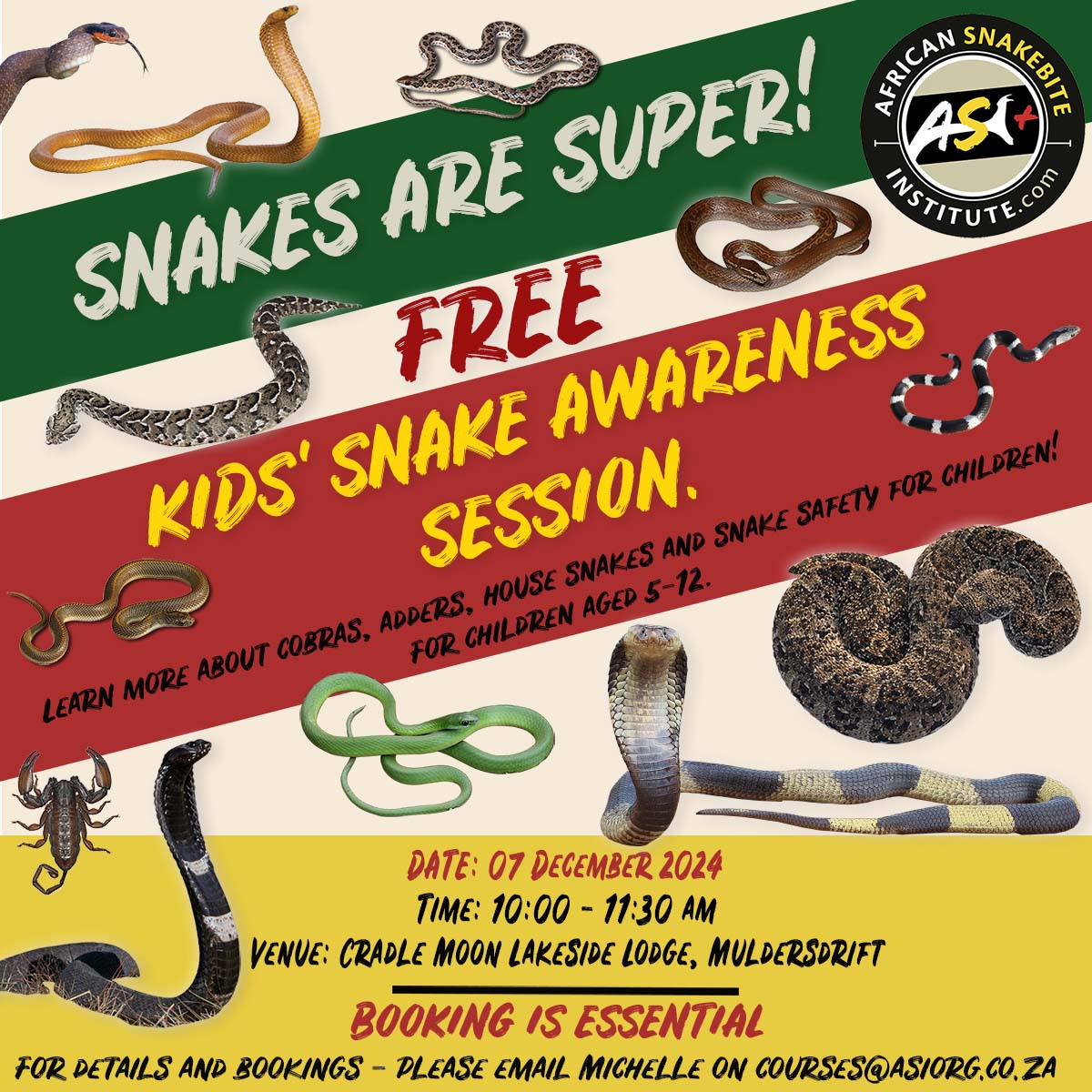 Snakes are super! Kids' Snake Awareness Session - Gauteng - Cradle Moon ...