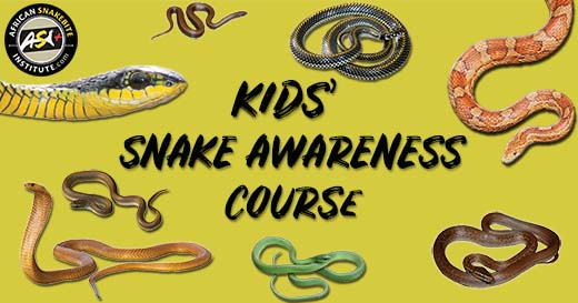 Kids' Snake Awareness Course (Western Cape) - 2024-12-08