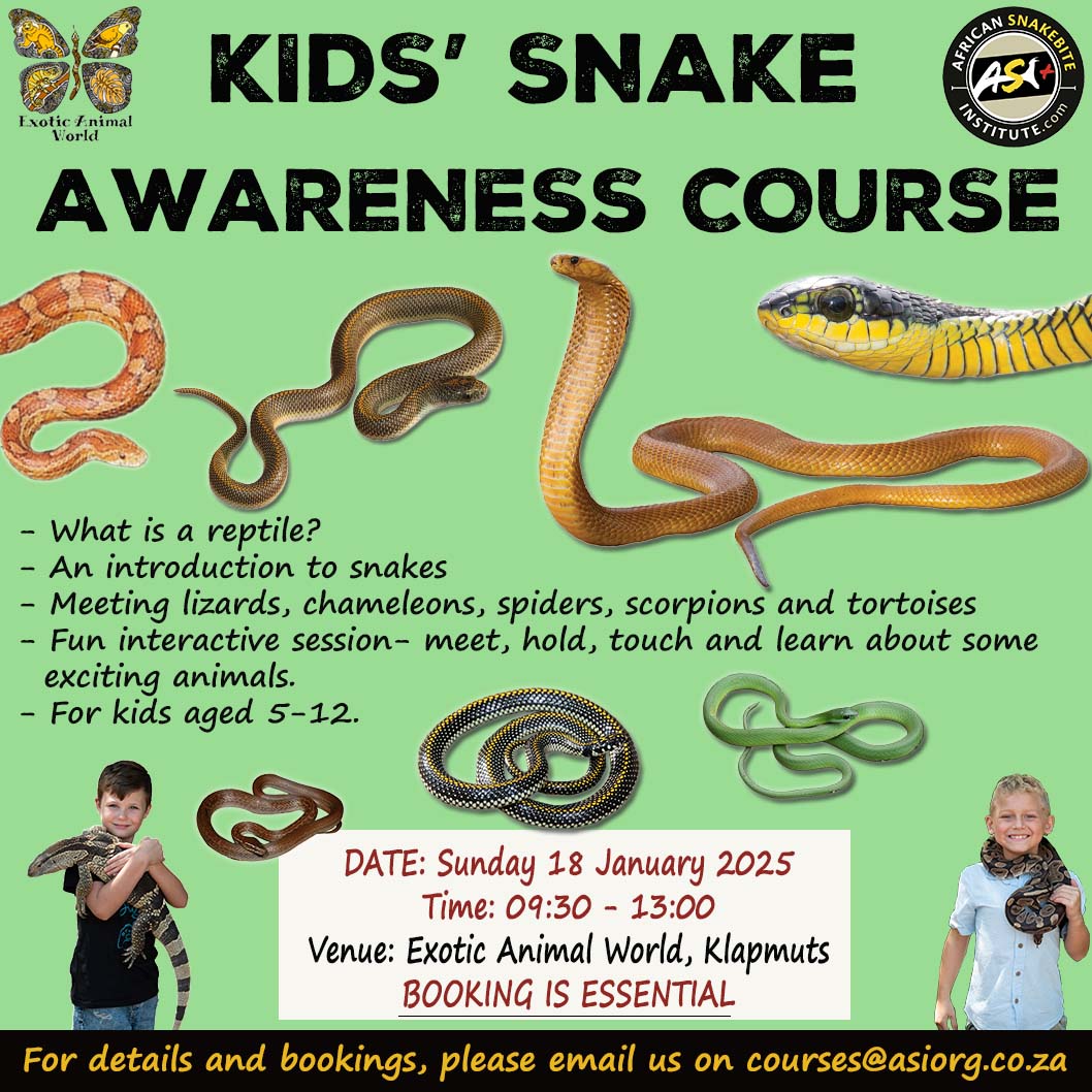 Kids' Snake Awareness Course (Western Cape) - 2025-01-19