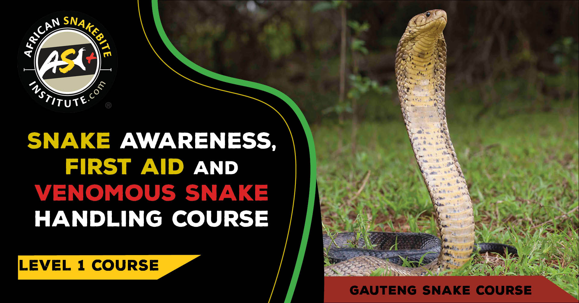 Snake Awareness & Venomous Snake Handling (Gauteng) - 2025-03-29