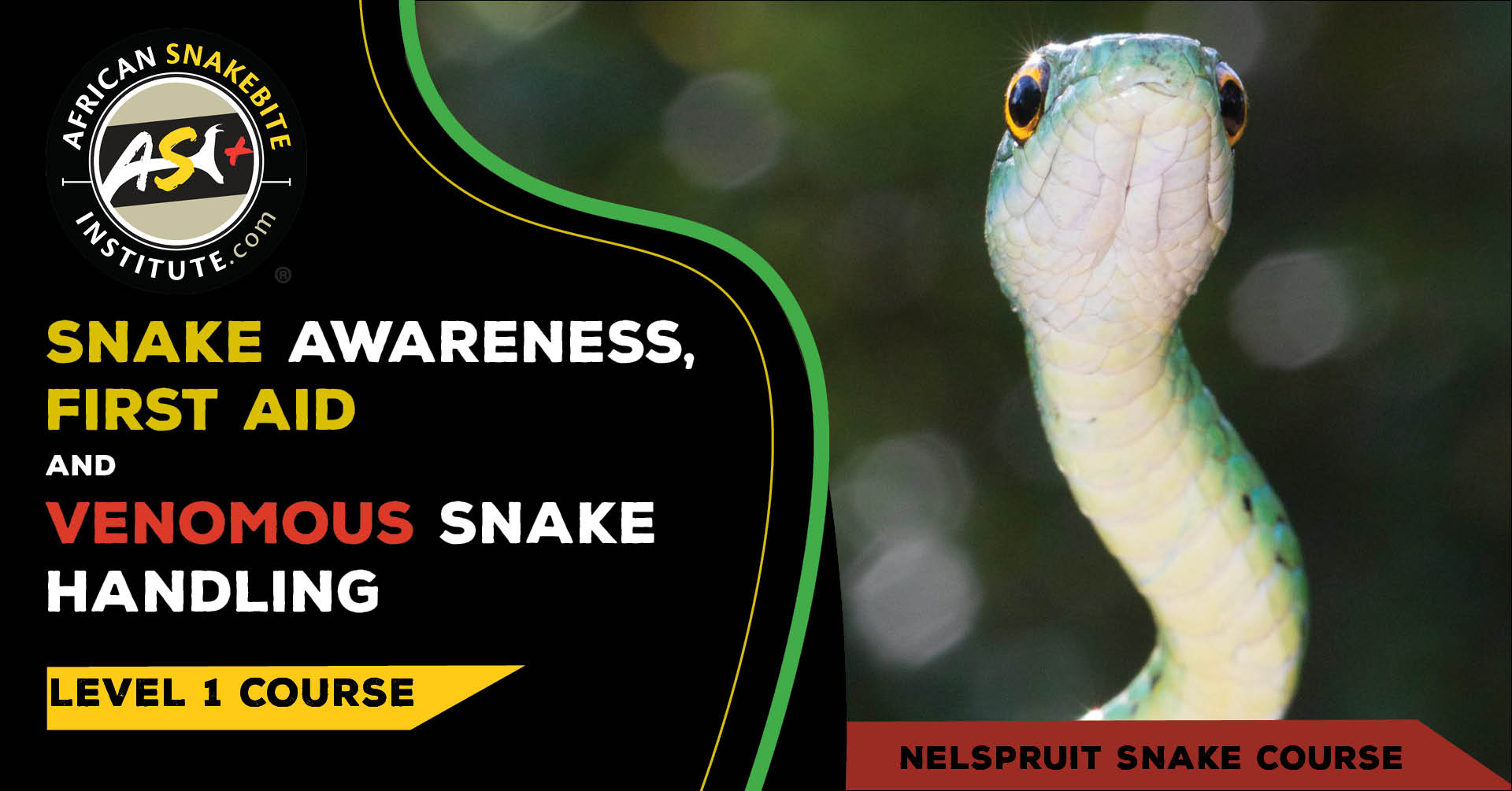 Snake Awareness & Venomous Snake Handling (Nelspruit) - 2025-03-15