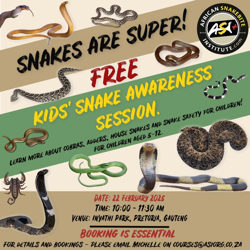 Snakes are super! Kids' Snake Awareness Session - Pretoria - Cradle ...