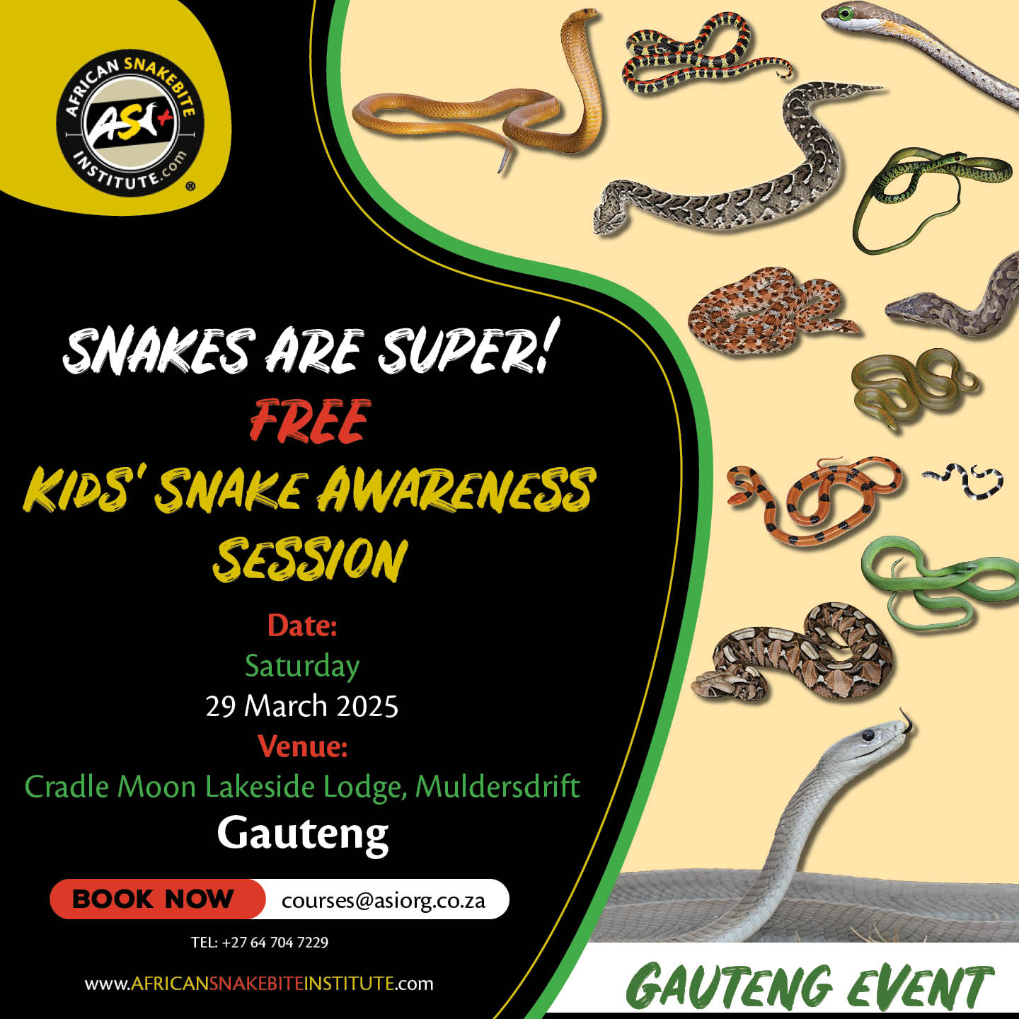 Snakes are super! Kids' Snake Awareness Session - Gauteng - Cradle Moon ...