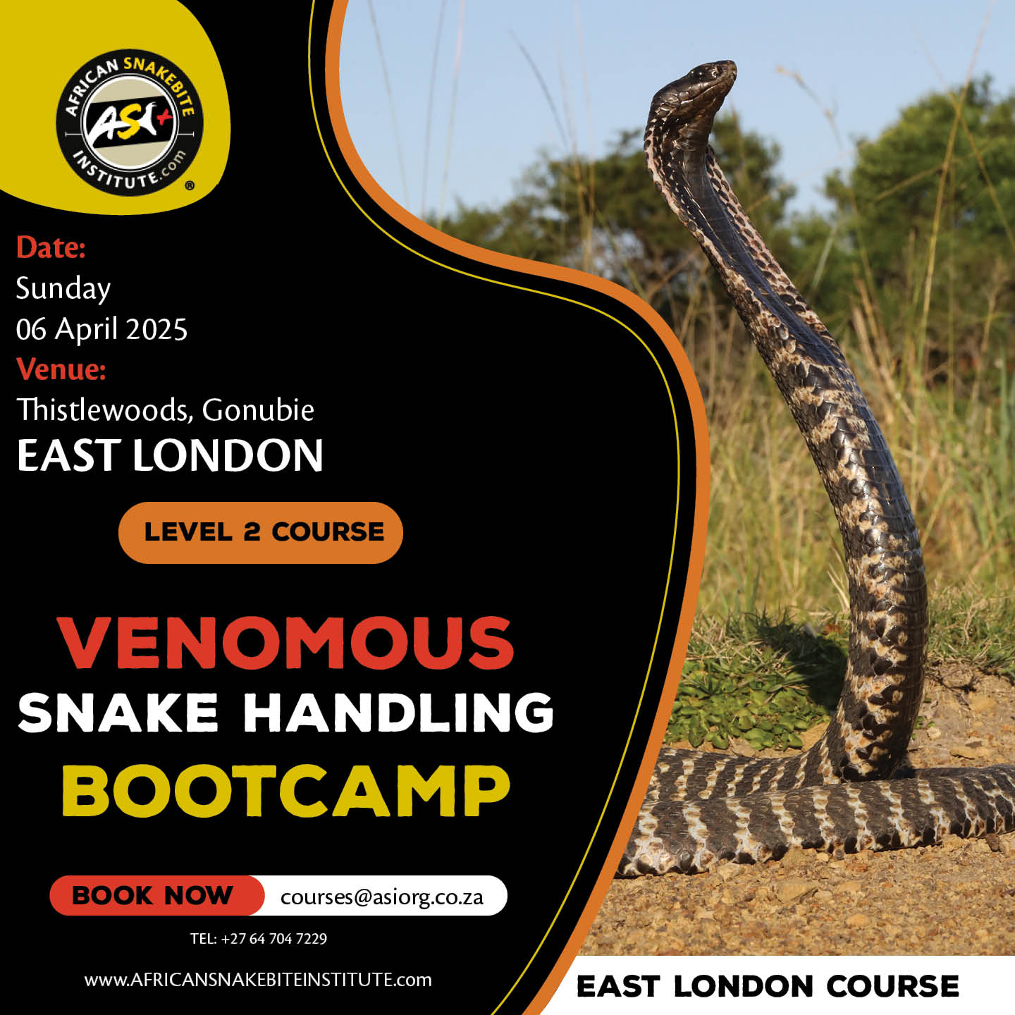 Venomous Snake Handling Bootcamp (East London) - 2025-04-05