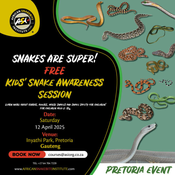 Snakes are super! Kids' Snake Awareness Session - Pretoria - Cradle ...