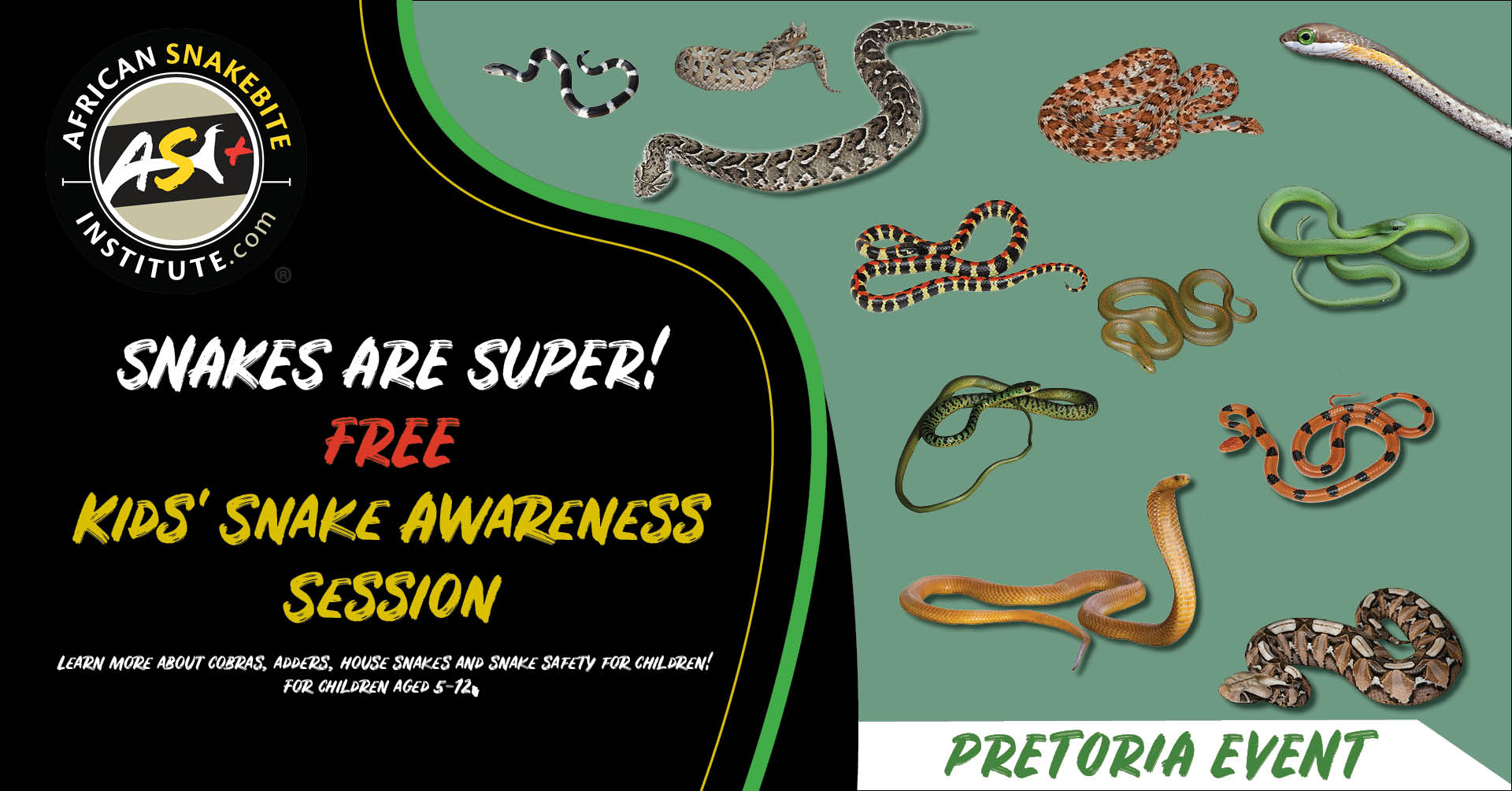 Snakes are super! Kids' Snake Awareness Session - Pretoria - Cradle ...