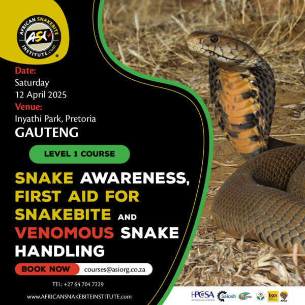 Snake Awareness & Venomous Snake Handling (Pretoria) - 2025-04-12