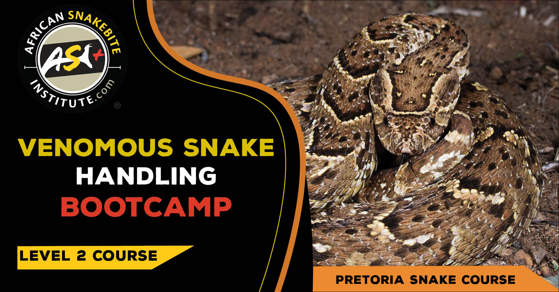 Venomous Snake Handling Bootcamp (Pretoria) - 2025-04-13