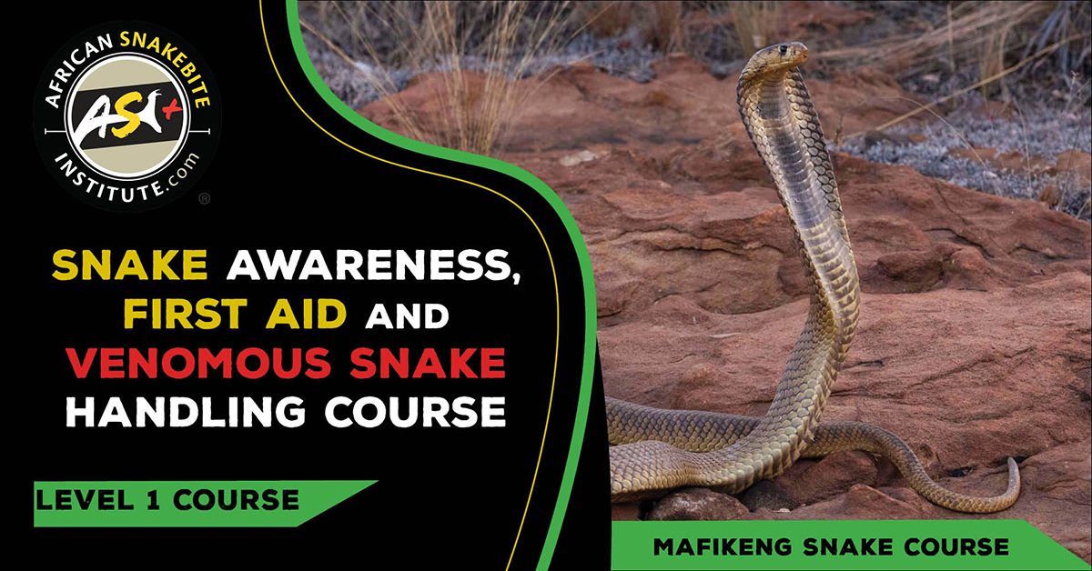 Snake Awareness & Venomous Snake Handling (Mafikeng) - 2025-05-10