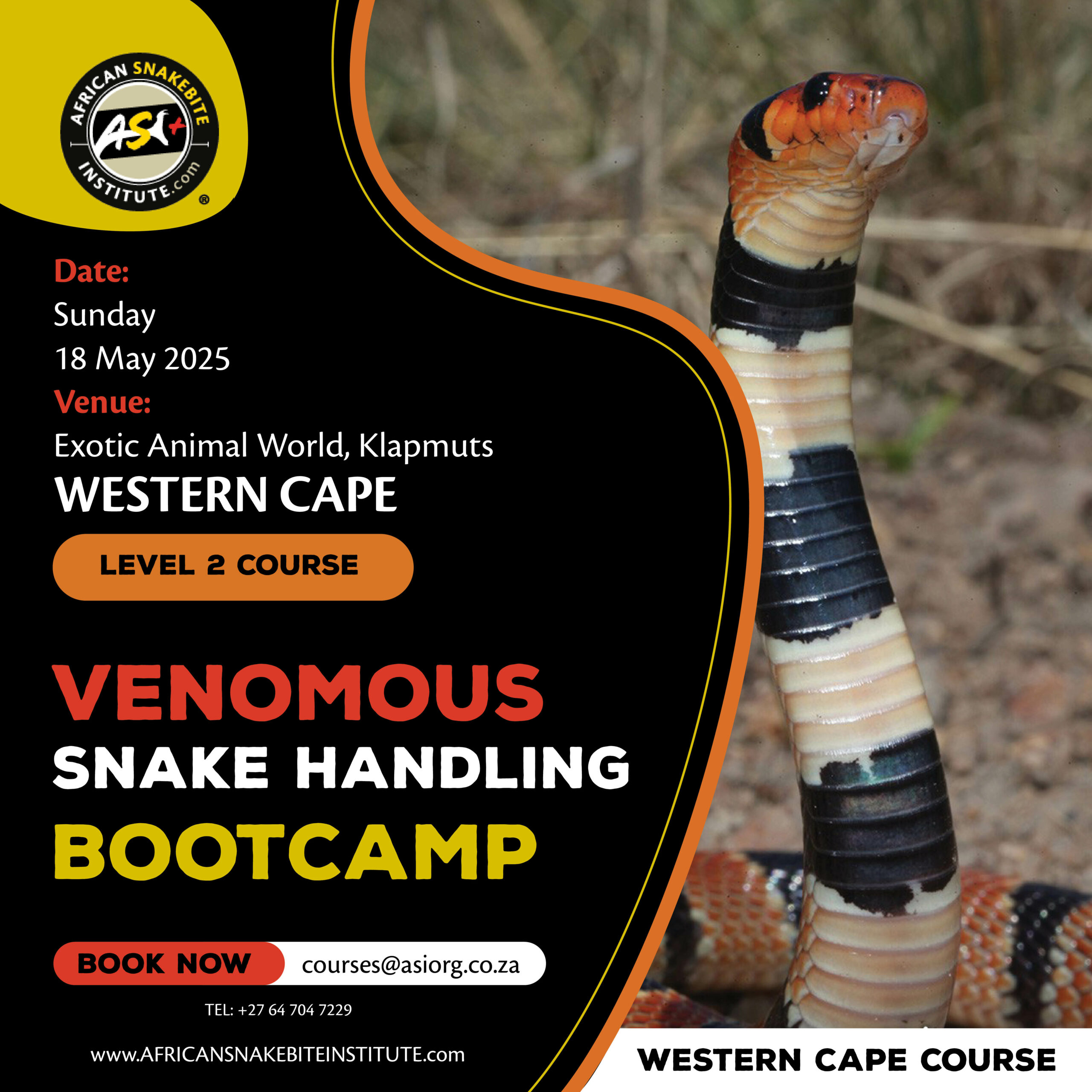 Venomous-Snake Handling Bootcamp (Western Cape) - 2025-05-18