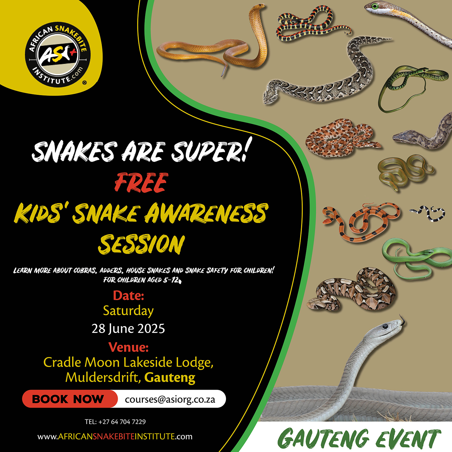 Snakes are super! Kids' Snake Awareness Session - Gauteng - Cradle Moon ...