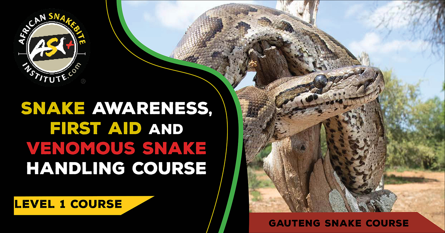 Snake Awareness & Venomous Snake Handling (Gauteng) - 2025-06-28
