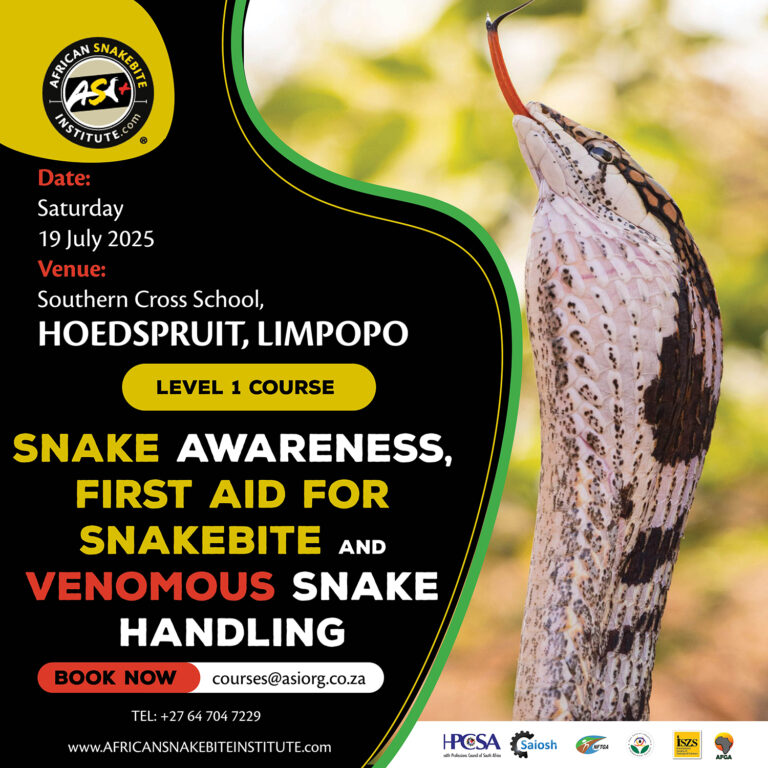 Snake Awareness & Venomous Snake Handling (Hoedspruit) - 2025-07-19