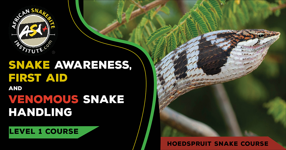 Snake Awareness & Venomous Snake Handling (Hoedspruit) - 2025-07-19