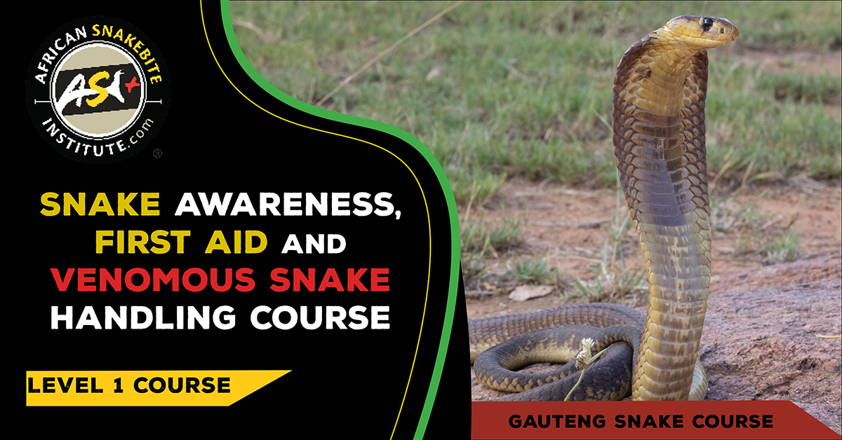 Snake Awareness & Venomous Snake Handling (Gauteng) - 2025-07-26