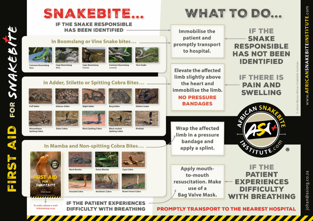 Snakebite in southern Africa - African Snakebite Institute