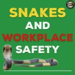 As a Health and Safety Officer – here’s what you need to know about ...