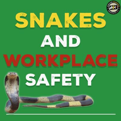 As a Health and Safety Officer – here’s what you need to know about ...