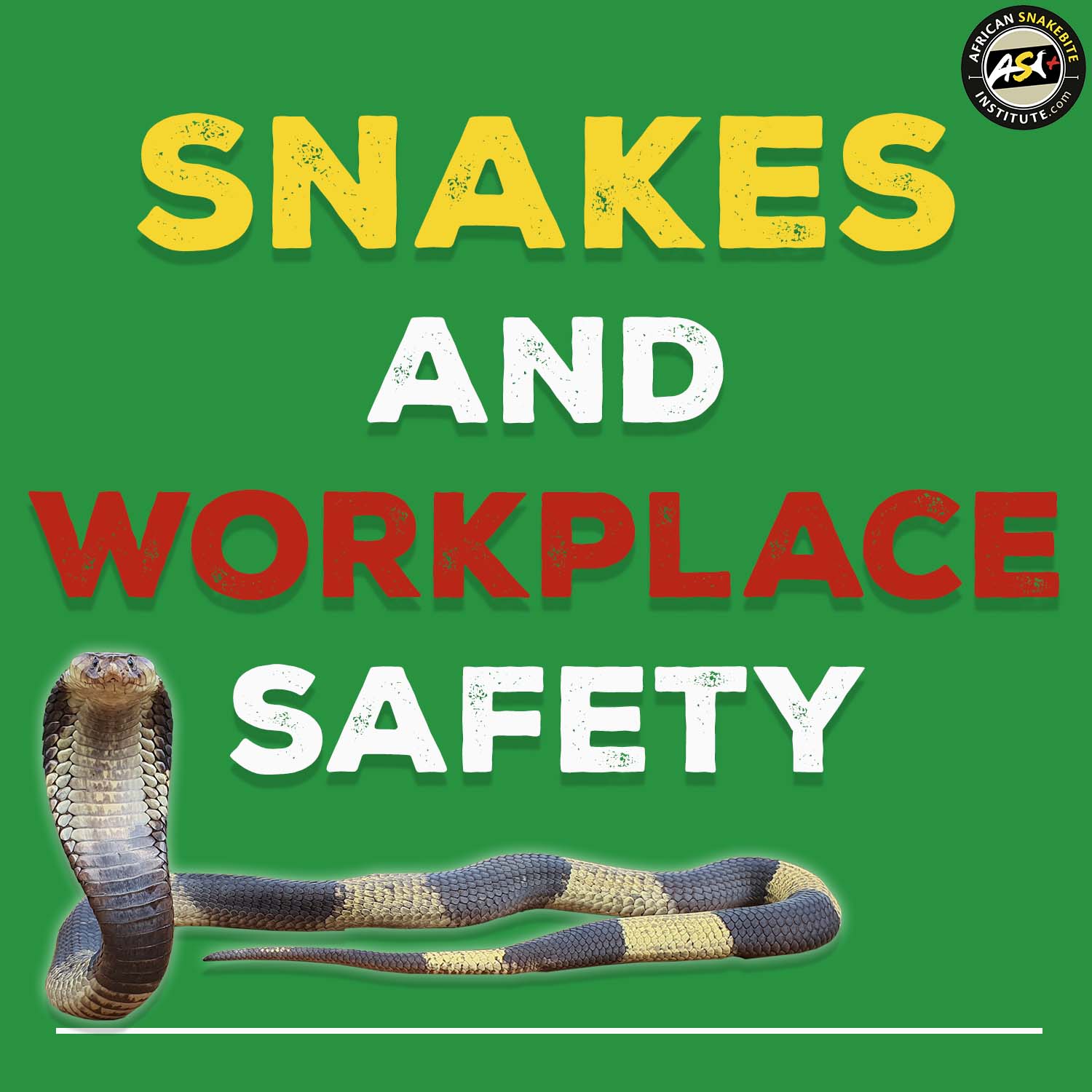 As a Health and Safety Officer – here’s what you need to know about ...