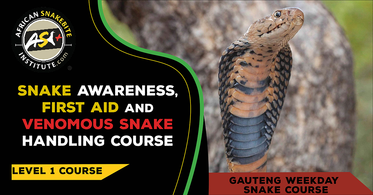 Snake Awareness & Venomous Snake Handling (Gauteng) - 2025-07-25