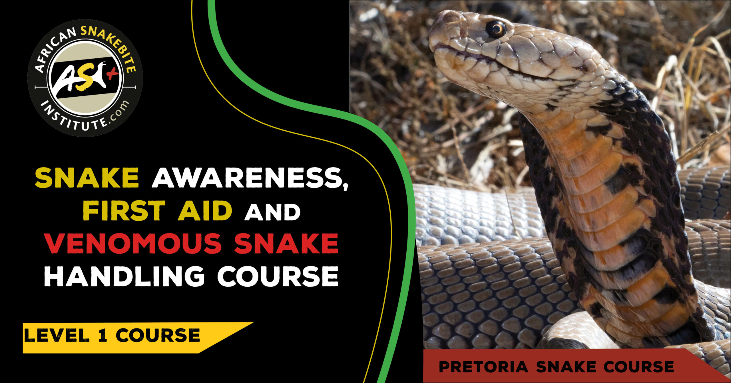 Snake Awareness & Venomous Snake Handling (Pretoria) - 2025-09-27