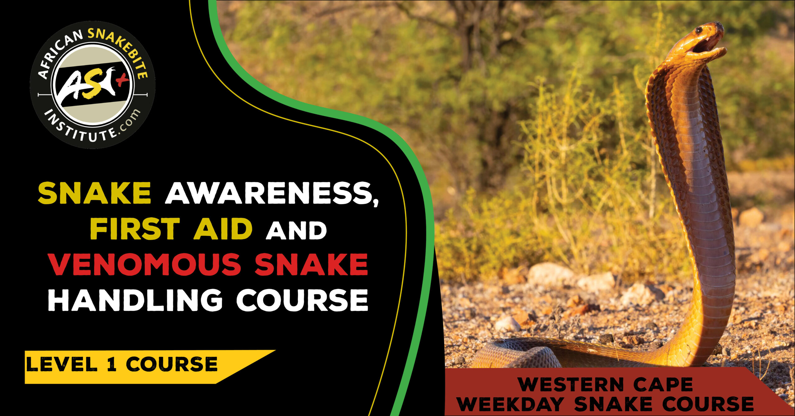 Snake Awareness & Venomous Snake Handling (Western Cape) - 2025-09-26