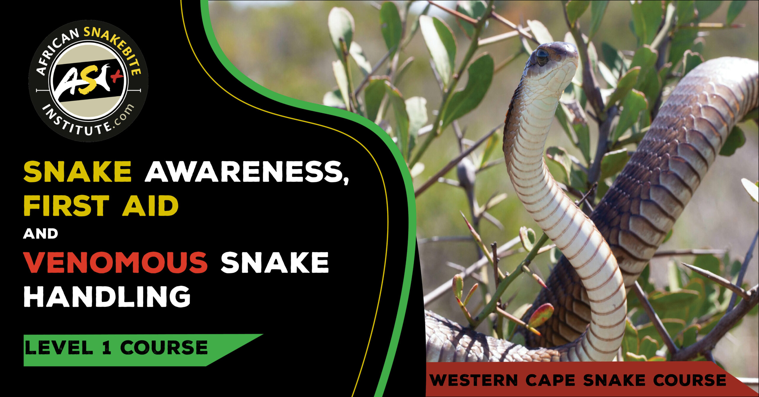Snake Awareness & Venomous Snake Handling (Western Cape) - 2025-09-27