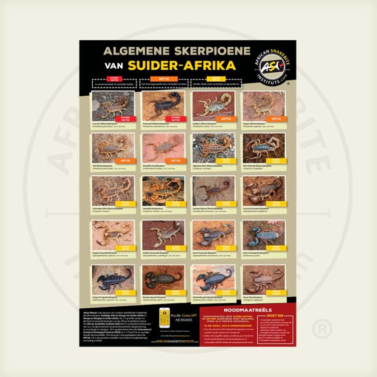 ASI Algemene Skerpioene van Suid-Africa Plakkaat (Gedruk) - African ...