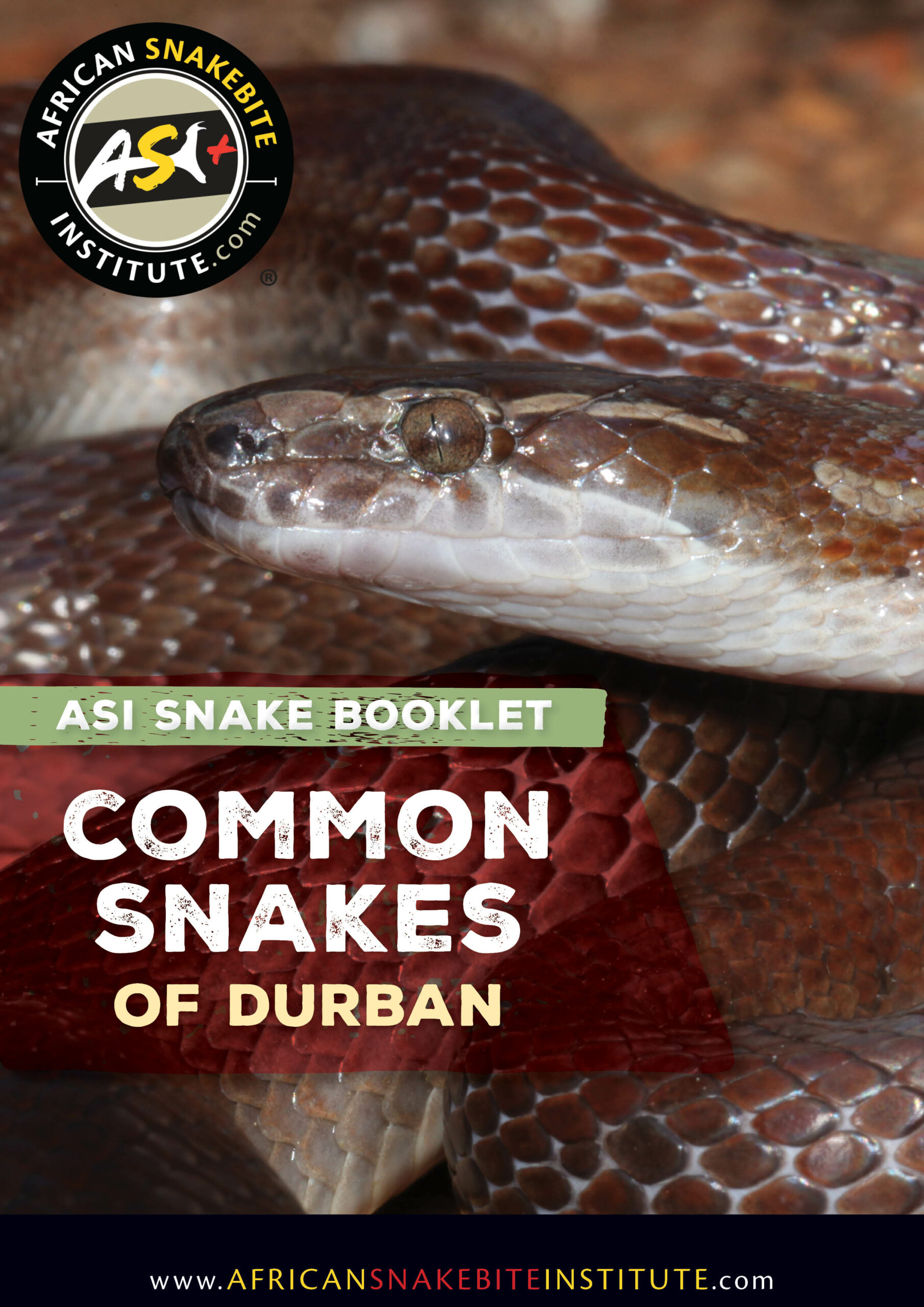 ASI Snake Booklets - African Snakebite Institute