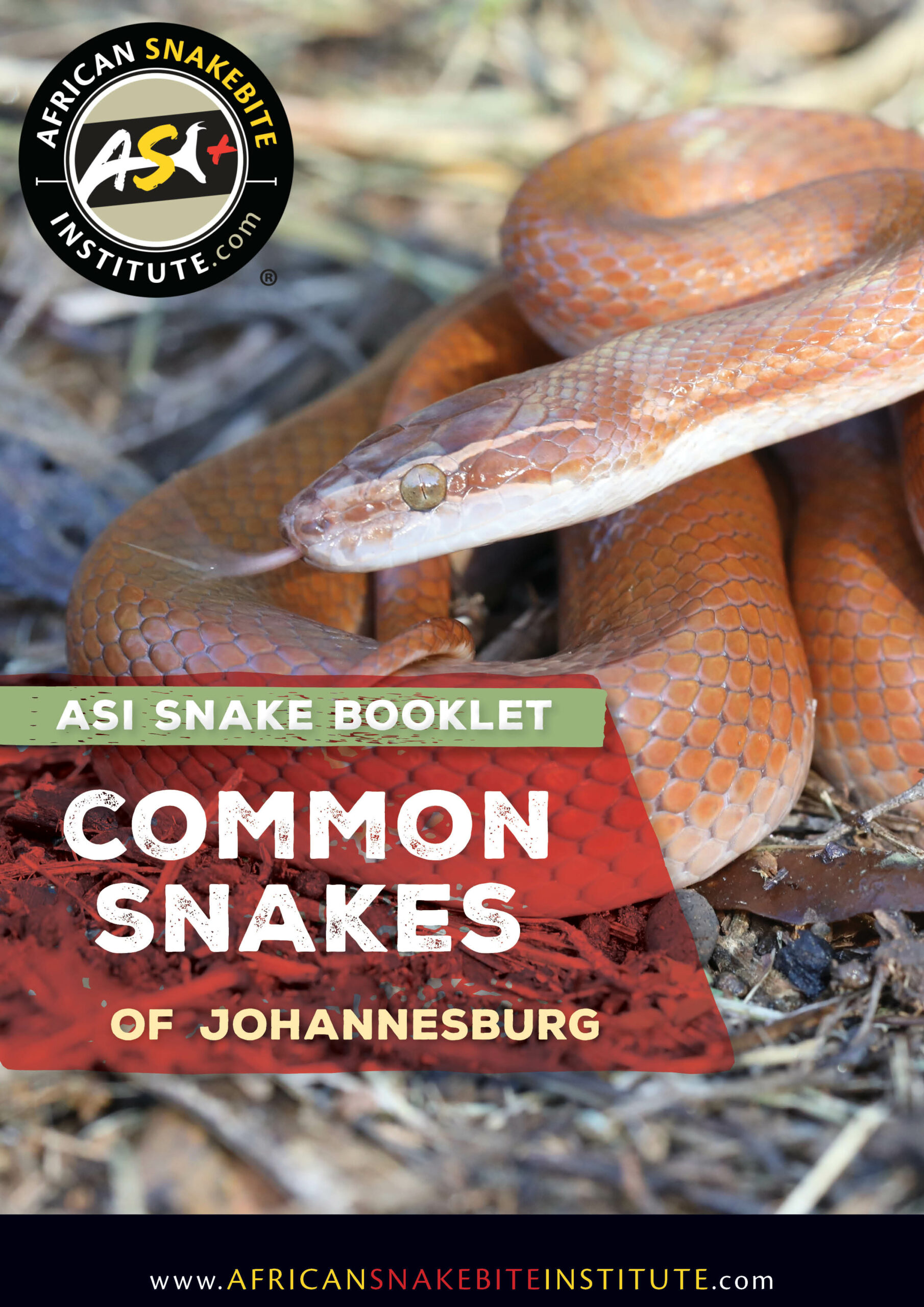 ASI Snake Booklets - African Snakebite Institute