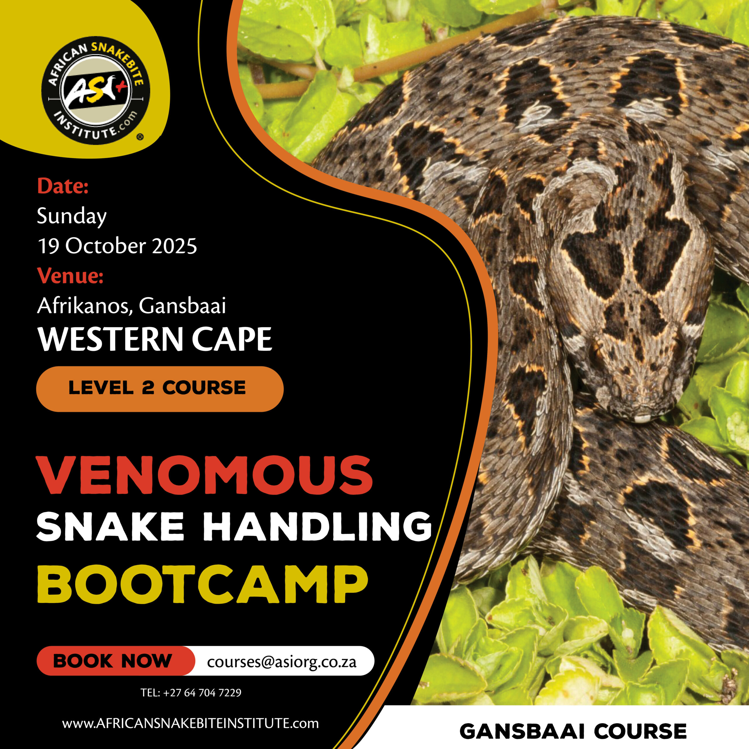 Venomous-Snake Handling Bootcamp (Western Cape - Gansbaai) - 2026-03-15