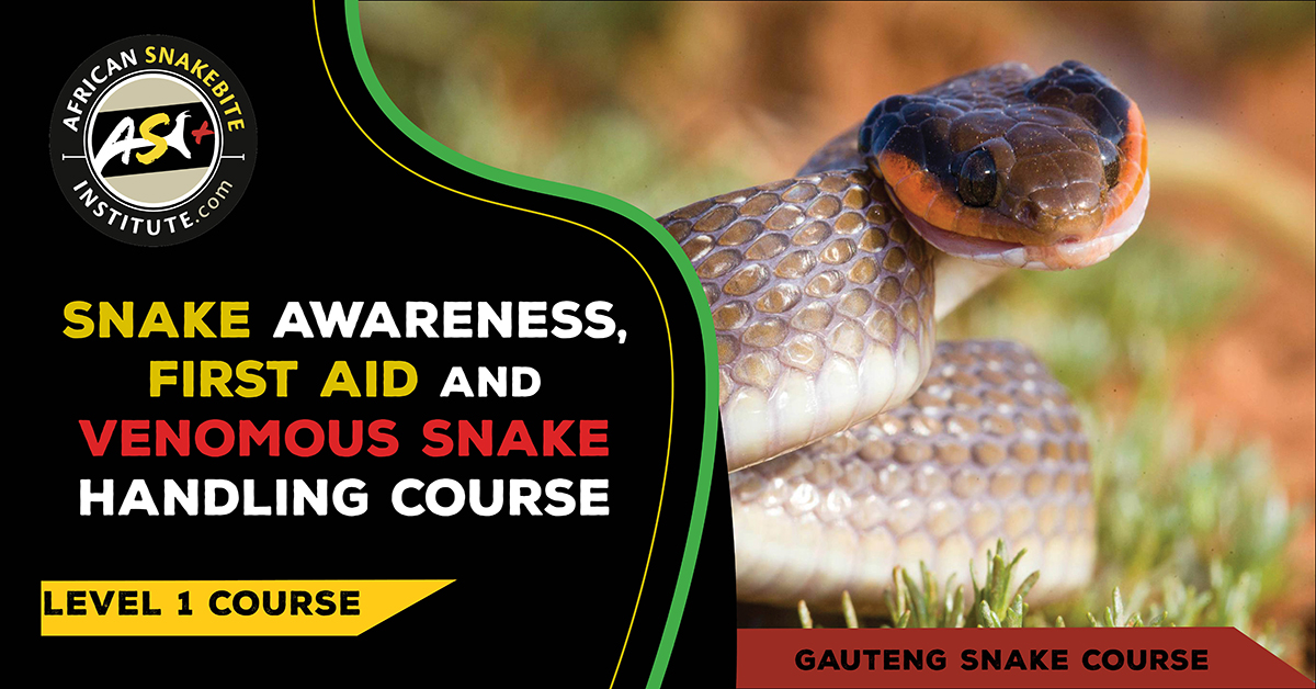 Snake Awareness & Venomous Snake Handling (Gauteng) - 2025-10-25