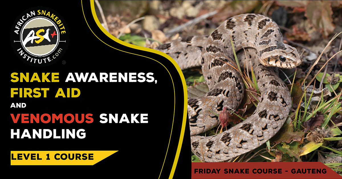 Snake Awareness & Venomous Snake Handling (Gauteng) - 2025-10-24