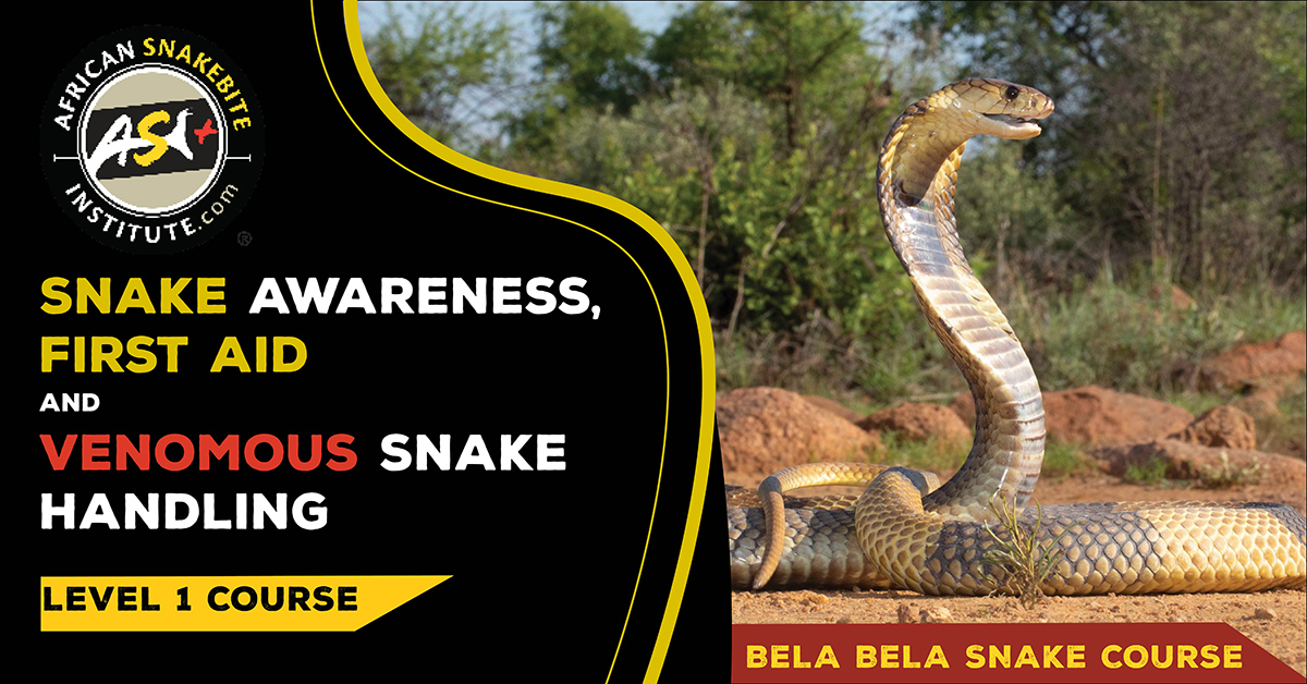 Snake Awareness & Venomous Snake Handling (Bela Bela) - 2025-12-03