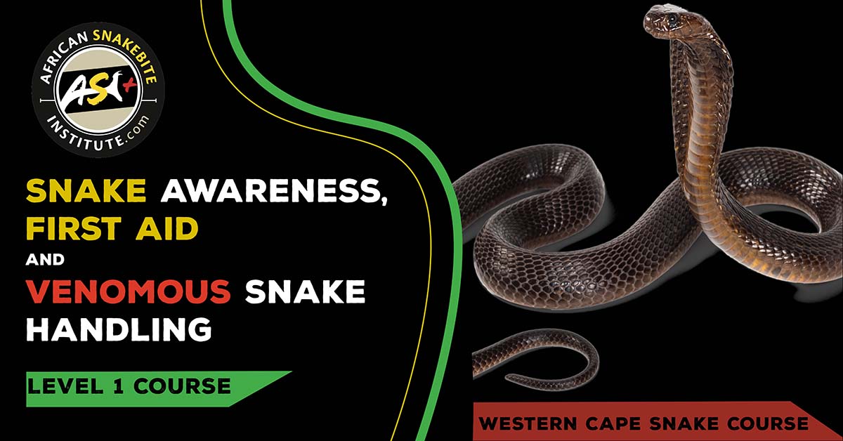 Snake Awareness & Venomous Snake Handling (Western Cape) - 2026-02-14
