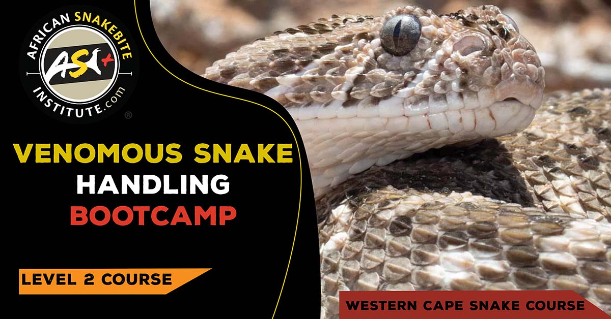 Venomous-Snake Handling Bootcamp (Western Cape) - 2026-03-29