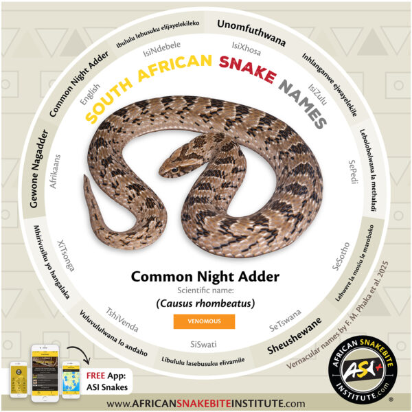 Local Snake Names - South Africa - African Snakebite Institute