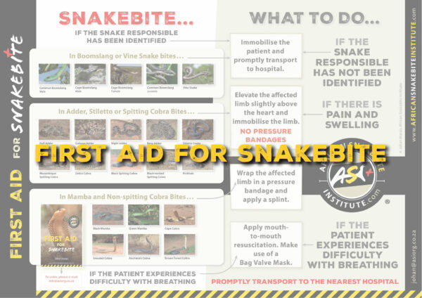 First aid for Snakebite - African Snakebite Institute