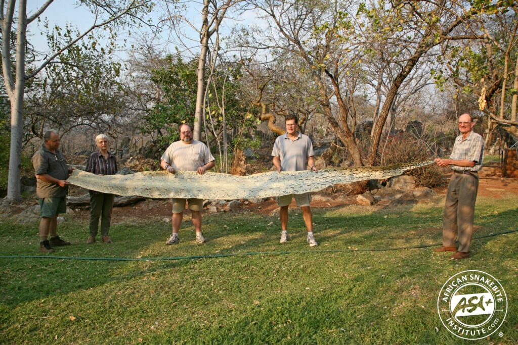 Pythons of Africa - African Snakebite Institute