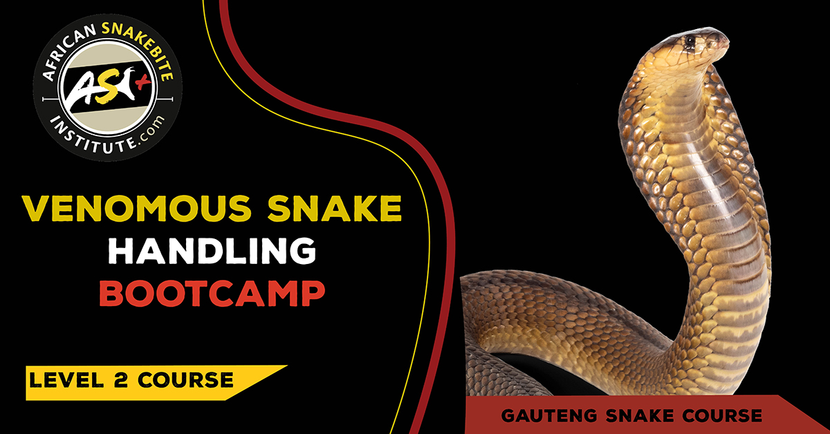Venomous Snake Handling Bootcamp (Gauteng) -2026-04-19
