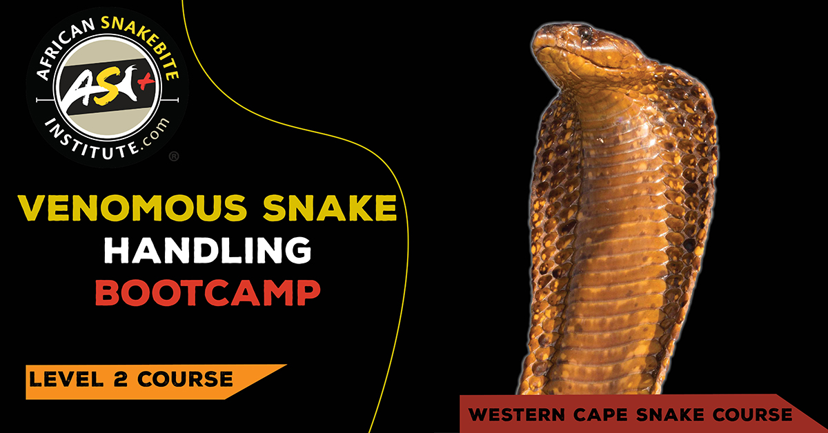 Venomous-Snake Handling Bootcamp (Western Cape) - 2026-04-19