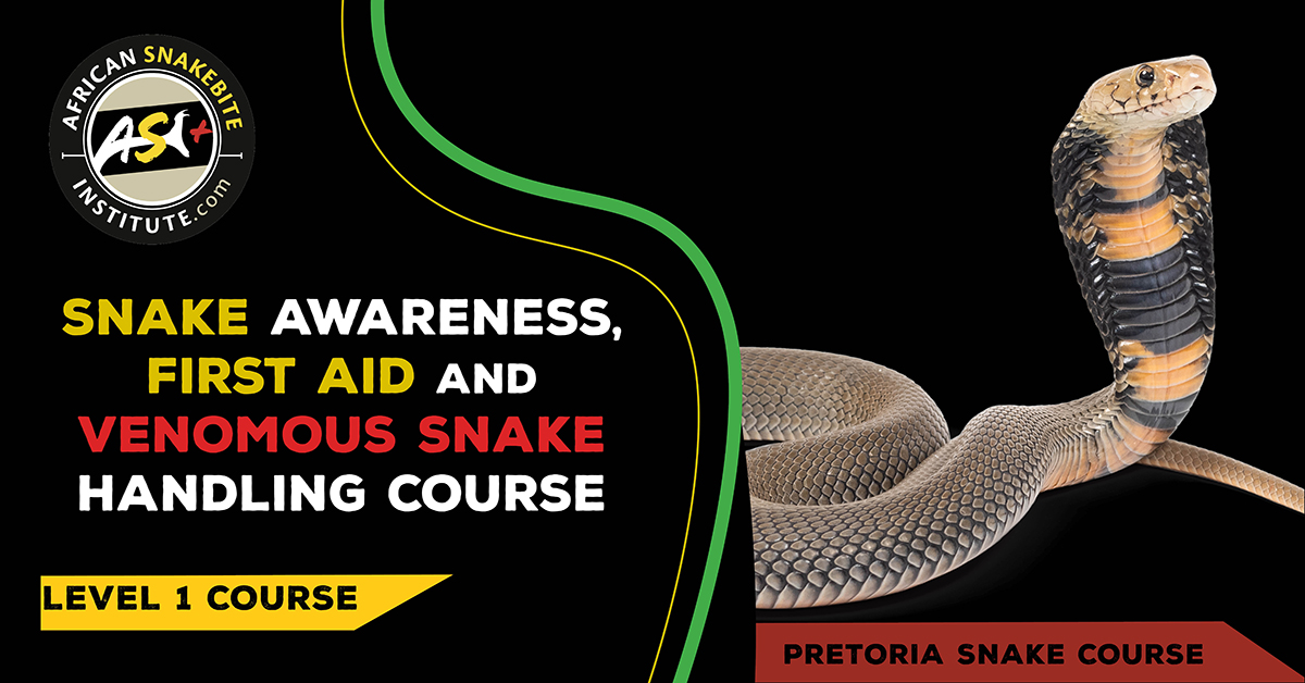 Snake Awareness & Venomous Snake Handling (Pretoria) - 2026-02-28