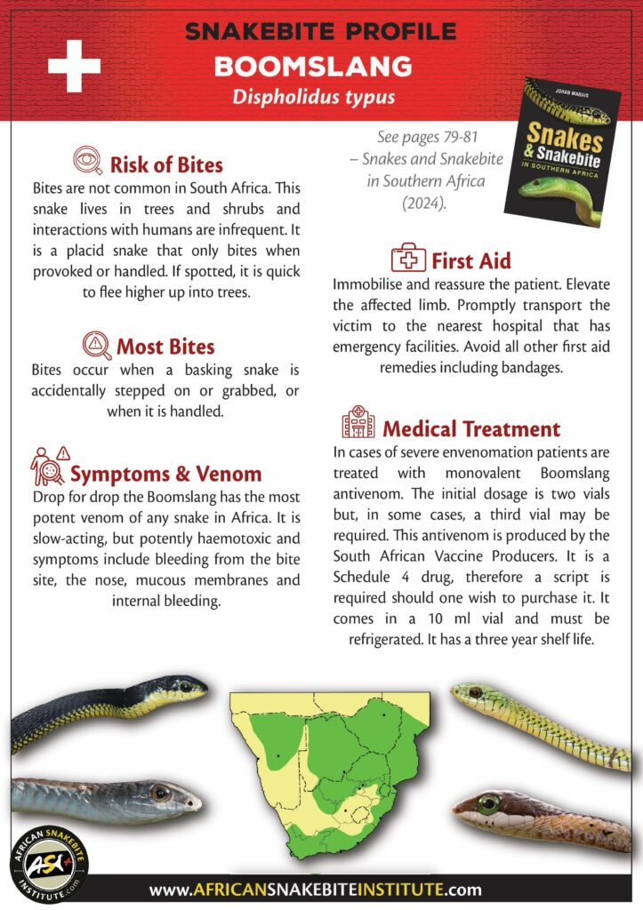 ASI Snakebite Profiles - Southern Africa - African Snakebite Institute